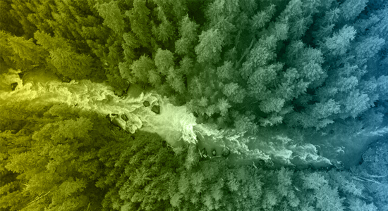 StepStone to urge LPs to ‘lean in’ on nature capital