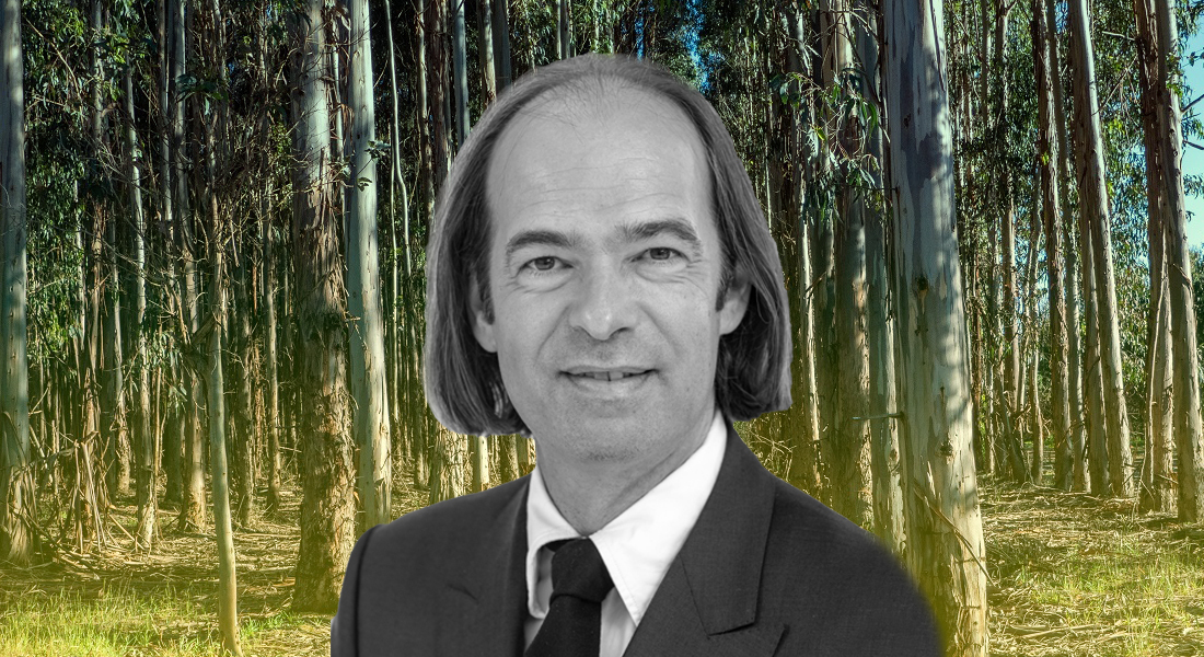 How AXA IM Alts is building a carbon offsets portfolio