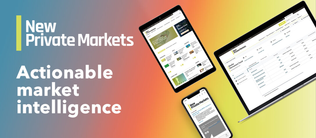 NPM platinum landing page | New Private Markets